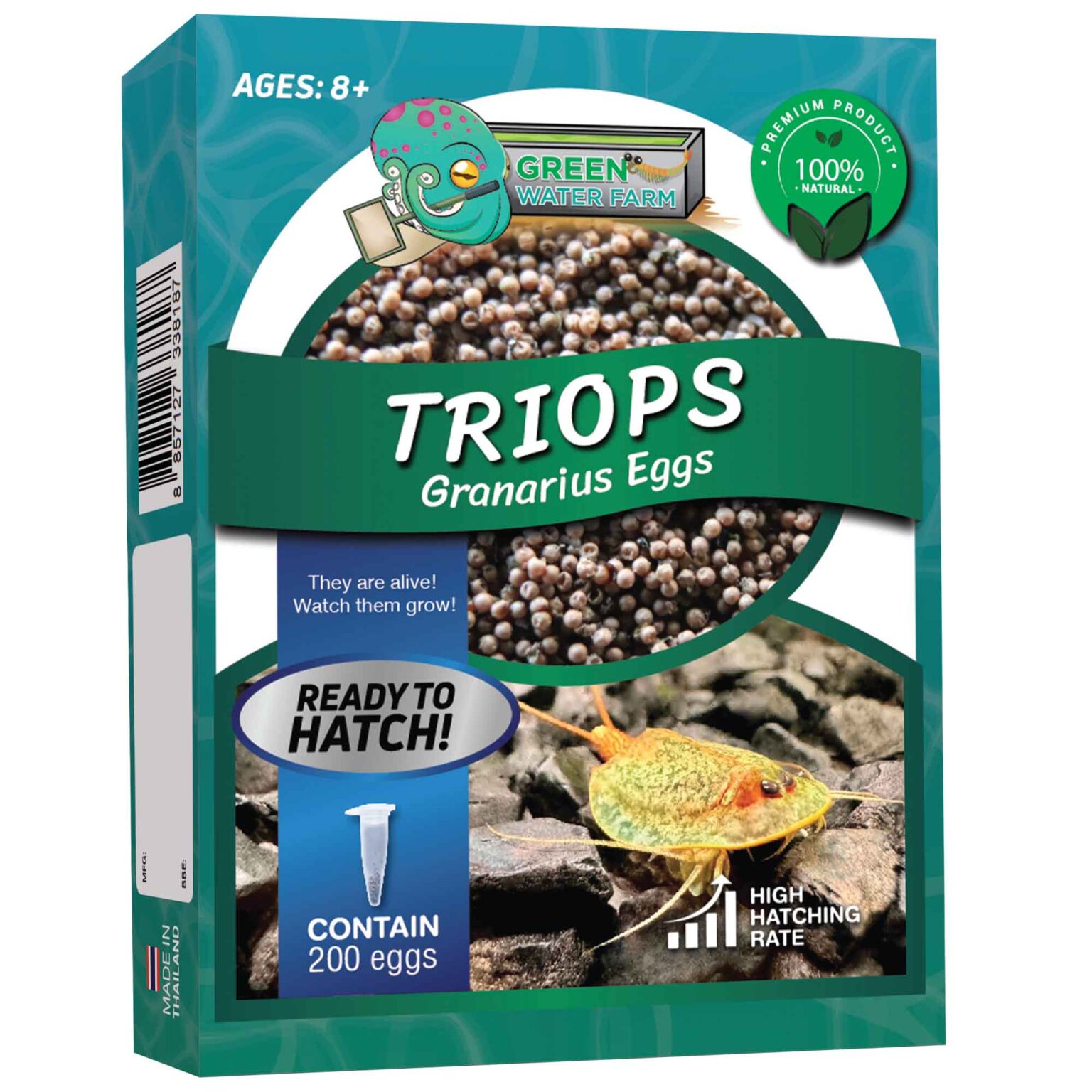 How to Hatch Killifish Eggs